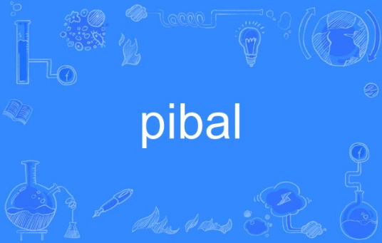 pibal_百度百科