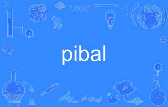 pibal_百度百科