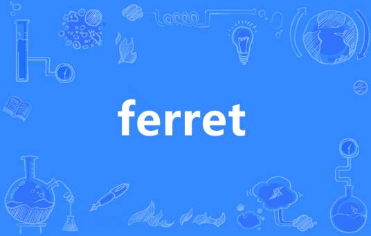 ferret（英语单词）_百度百科