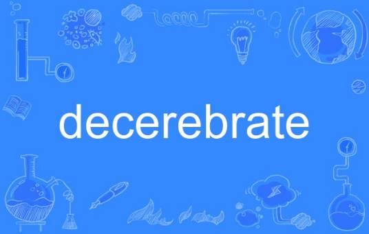 decerebrate_百度百科