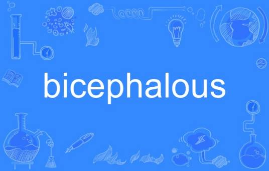 bicephalous_百度百科