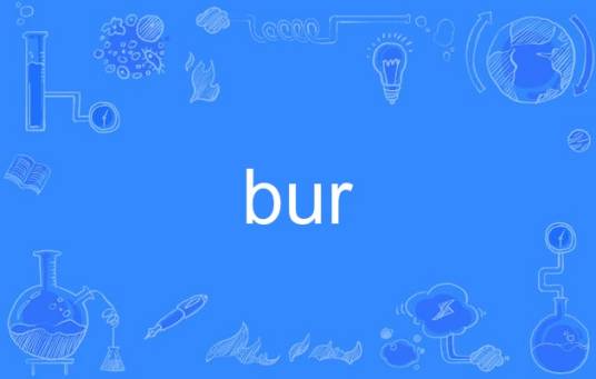 bur_百度百科