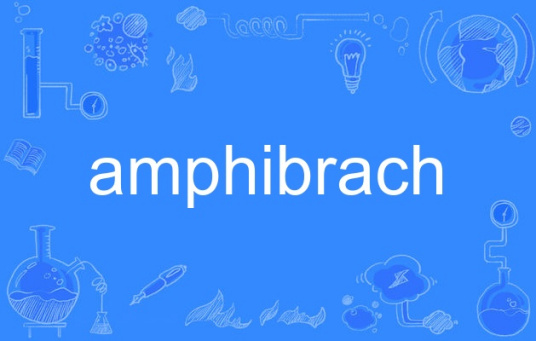 amphibrach_百度百科