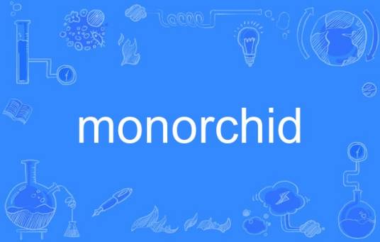 monorchid_百度百科