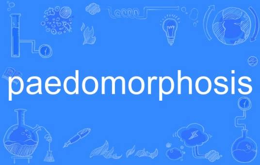 paedomorphosis_百度百科