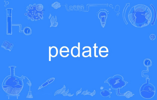 pedate_百度百科