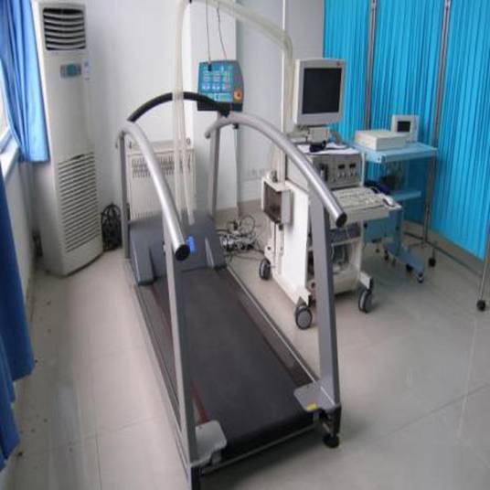 Oxymon实时氧分析评估系统_百度百科