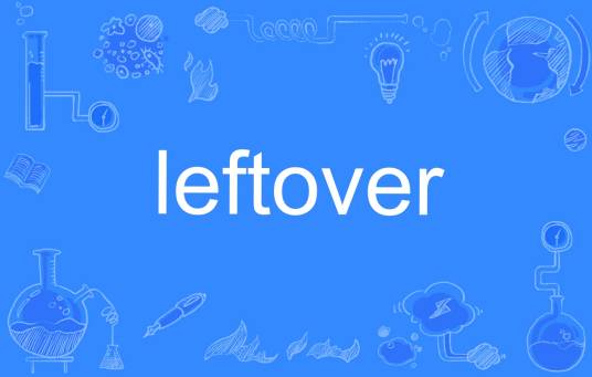leftover（英文单词）_百度百科