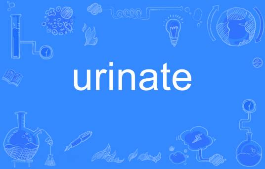 urinate_百度百科
