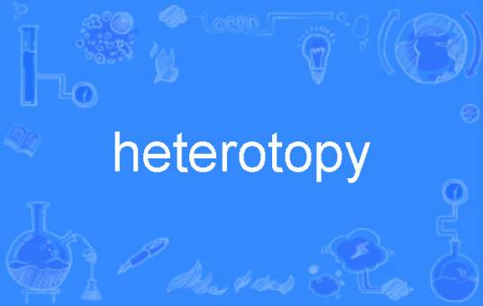 heterotopy_百度百科
