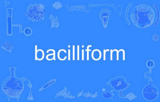 bacilliform_百度百科