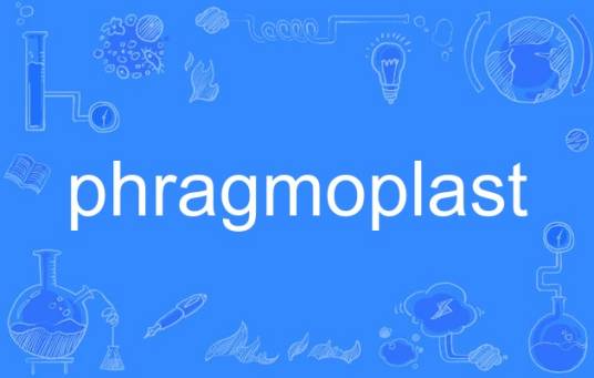phragmoplast_百度百科