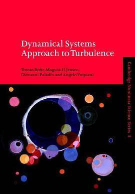 Dynamical Systems Approach to Turbulence (Cambridge Nonlinear Science ...