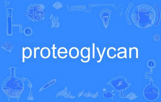 proteoglycan（英语单词）_百度百科