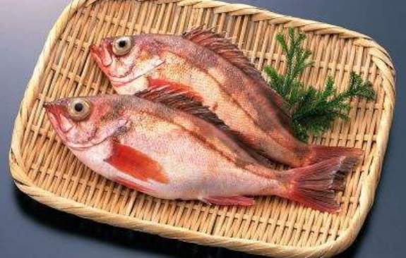 蓬莱加吉鱼_百度百科