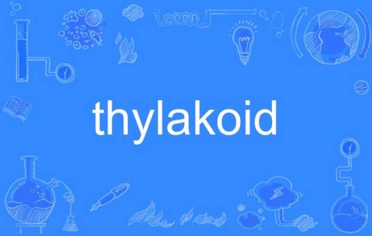 thylakoid_百度百科
