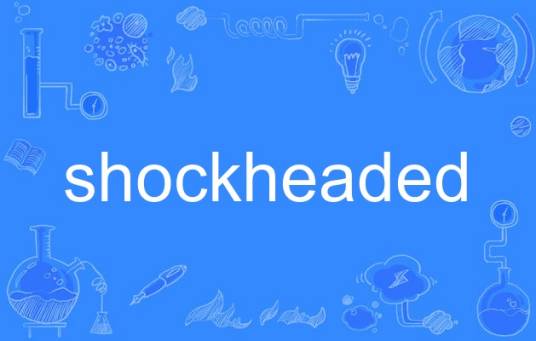 shockheaded_百度百科