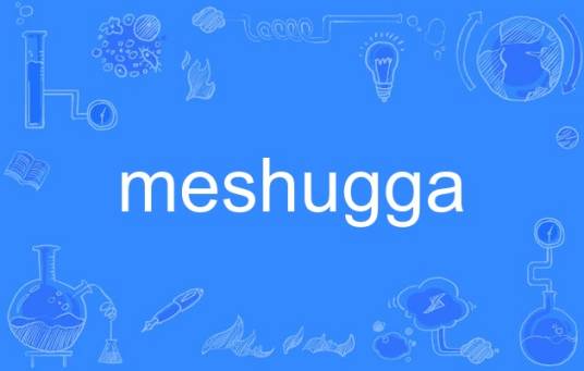meshugga_百度百科