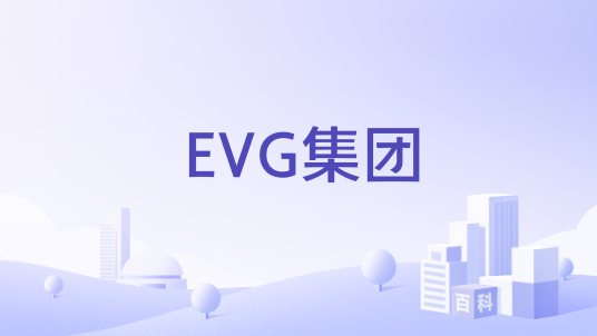 EVG集团_百度百科