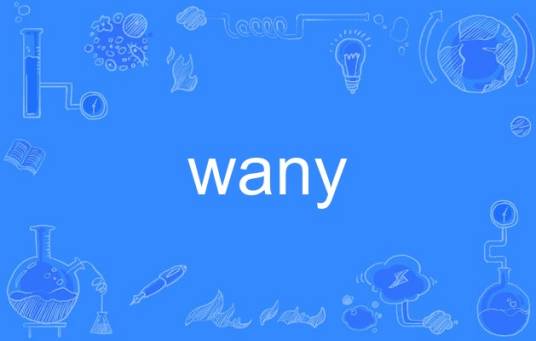 wany（英语单词）_百度百科