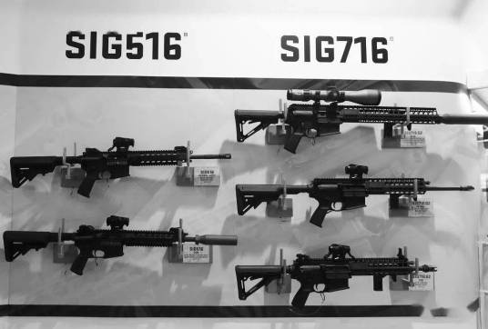 SIGSG550/551突击步枪_百度百科