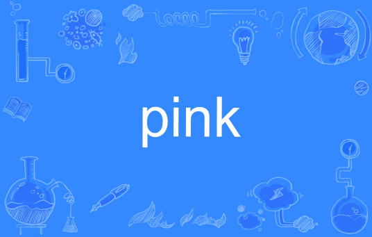 pink（英语单词）_百度百科