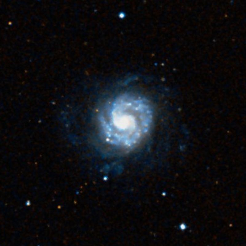 NGC 3596_百度百科