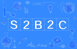 S2B2C_百度百科