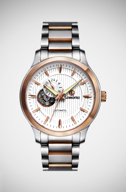 罗宾尼_百度百科