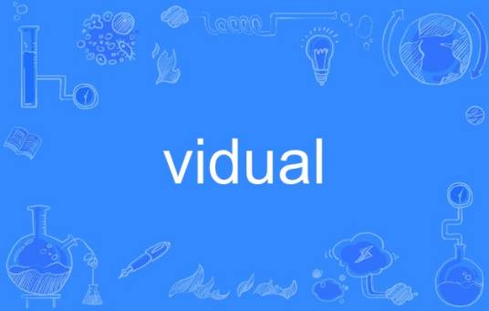 vidual_百度百科