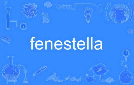 fenestella（英语单词）_百度百科