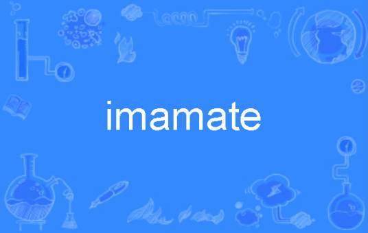 imamate_百度百科