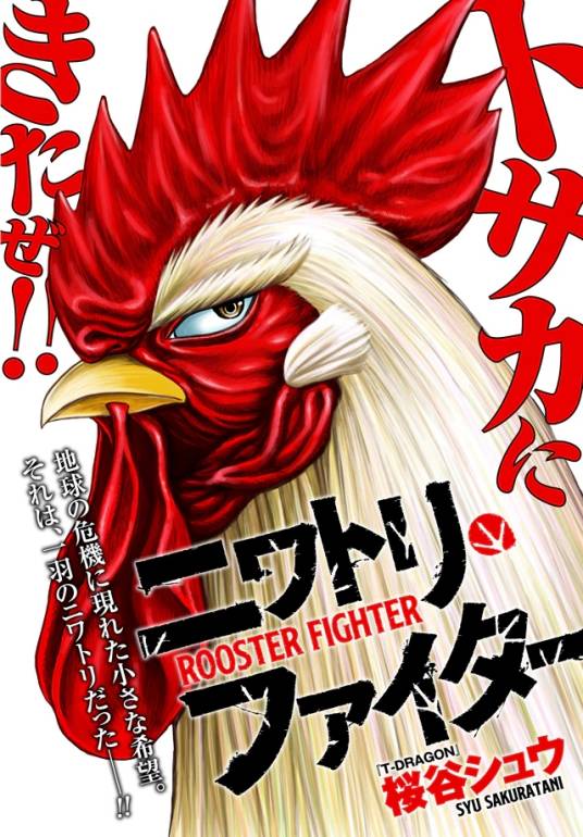 ROOSTER FIGHTER_百度百科