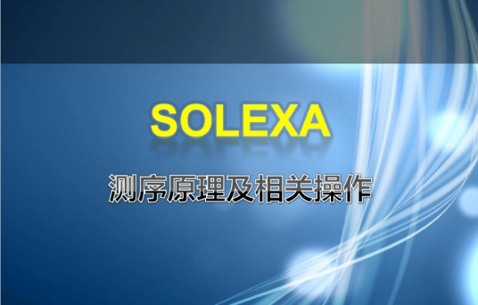 Solexa 测序系统_百度百科