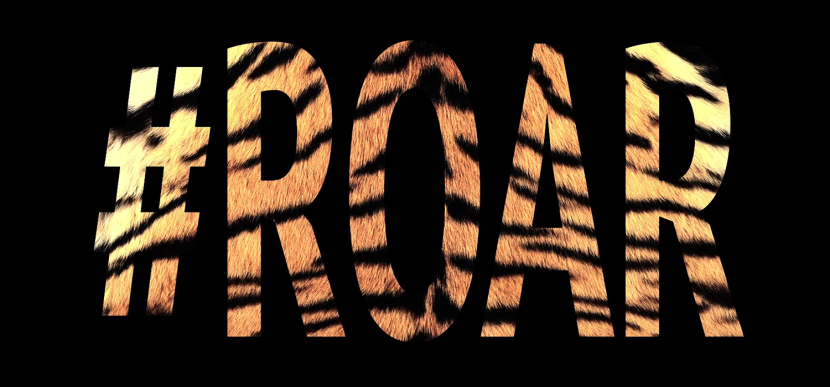 Roar（2013年凯蒂·佩里演唱的歌曲）_百度百科