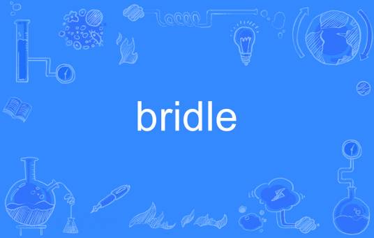 bridle_百度百科