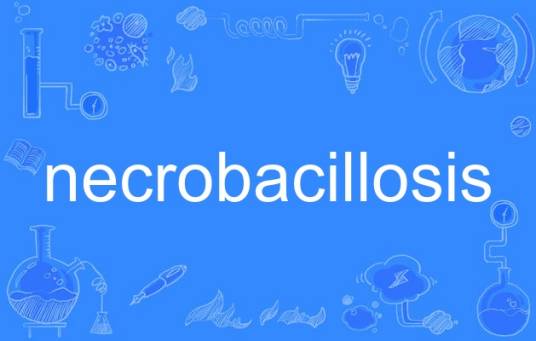 necrobacillosis_百度百科