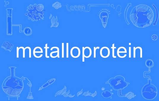 metalloprotein_百度百科
