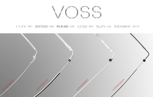 VOSS（眼镜品牌）_百度百科