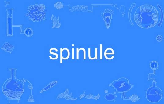 spinule_百度百科