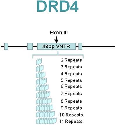 发现基因_百度百科