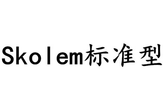 Skolem标准型_百度百科