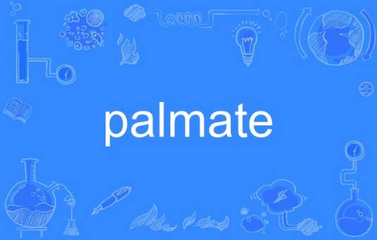 palmate_百度百科