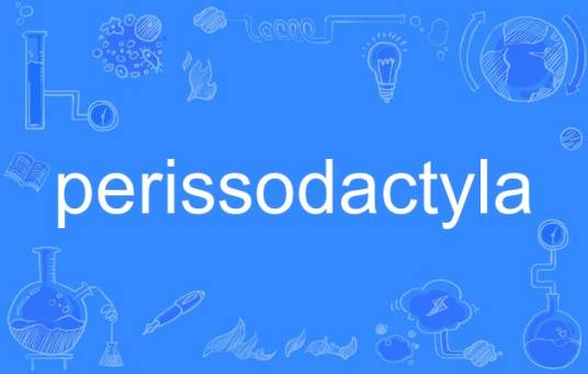 perissodactyla_百度百科