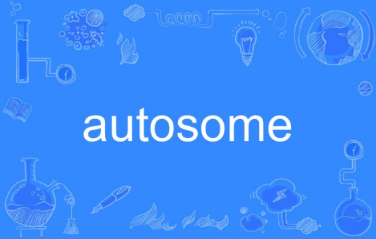 autosome_百度百科