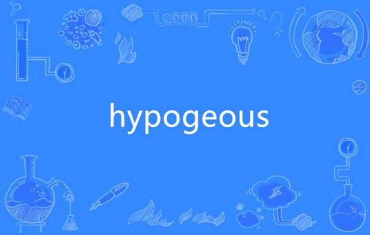 hypogeous_百度百科