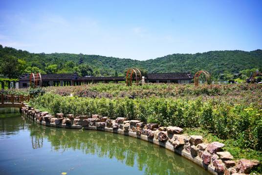 金岩寺观光园_百度百科