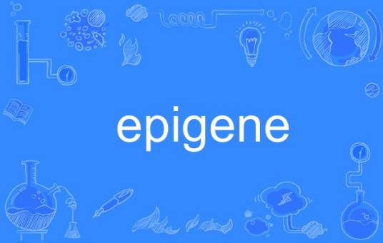 epigene_百度百科