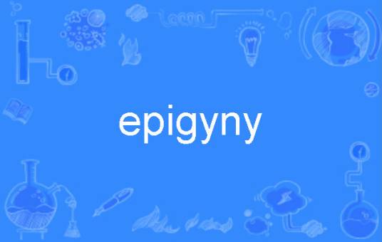 epigyny_百度百科