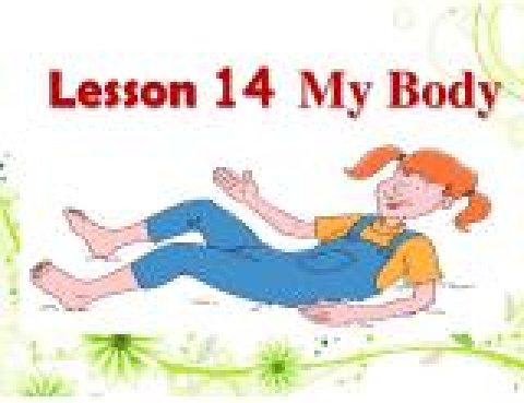 Lesson 14 《My body》_百度百科